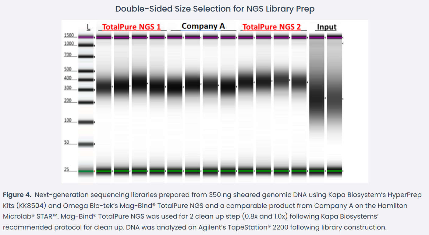 Mag-Bind® TotalPure NGS_瑞扬生物官方网站
